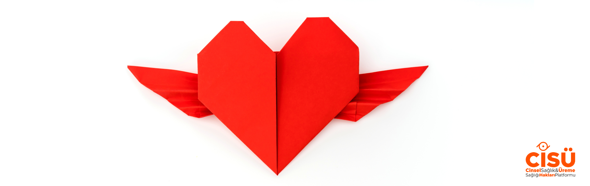 Sexual and Reproductive Health and Rights Platform (CISU) Distance ...