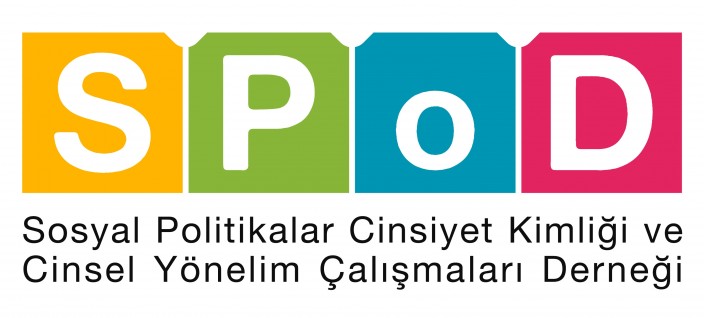 Sosyal Politikalar Cinsiyet Kimliği ve Cinsel Yönelim Çalışmaları ...