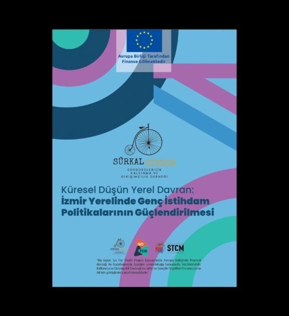 Think Global, Act Local: Strengthening Youth Employment Policies in ...