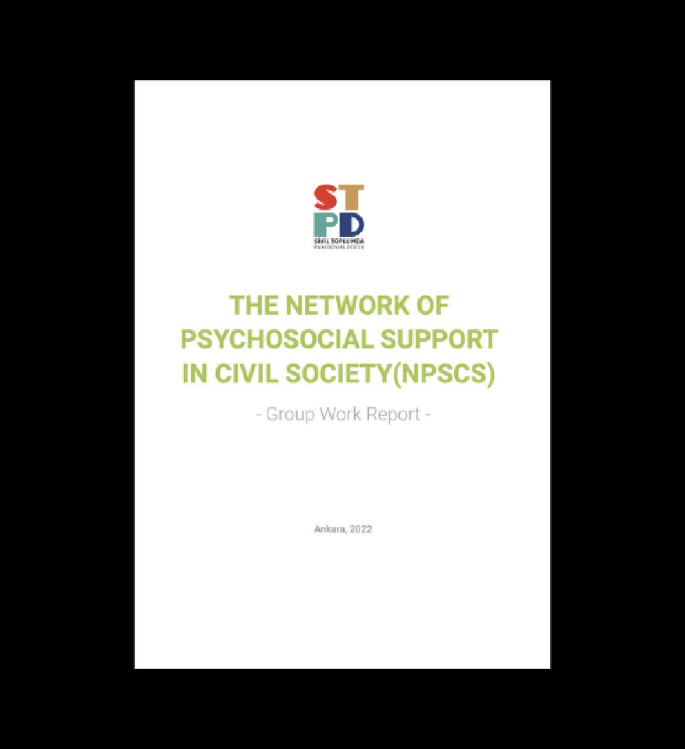 The Network of Psychosocial Support in Civil Society Group Work Report ...