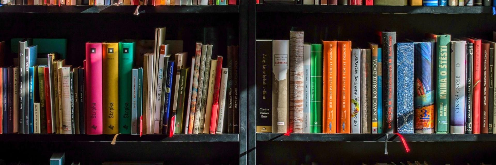 Digital Library for Individuals with Special Needs from Tomurcuk ...